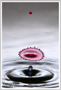 Examples of waterdrops taken with the Time Machine | Time Machine