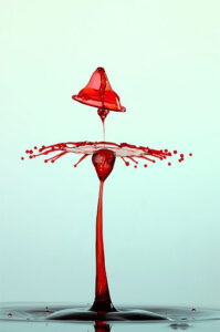 Examples of waterdrops taken with the Time Machine | Time Machine